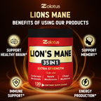 120 count lion's mane capsules
