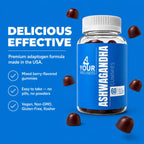 120 count lion's mane chewable gummies