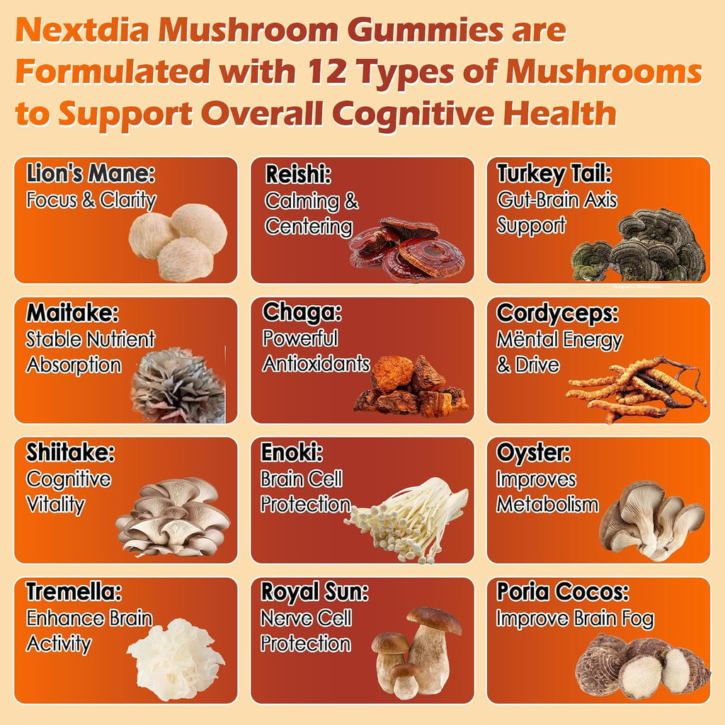 120 count Lion's Mane gummy vitamins