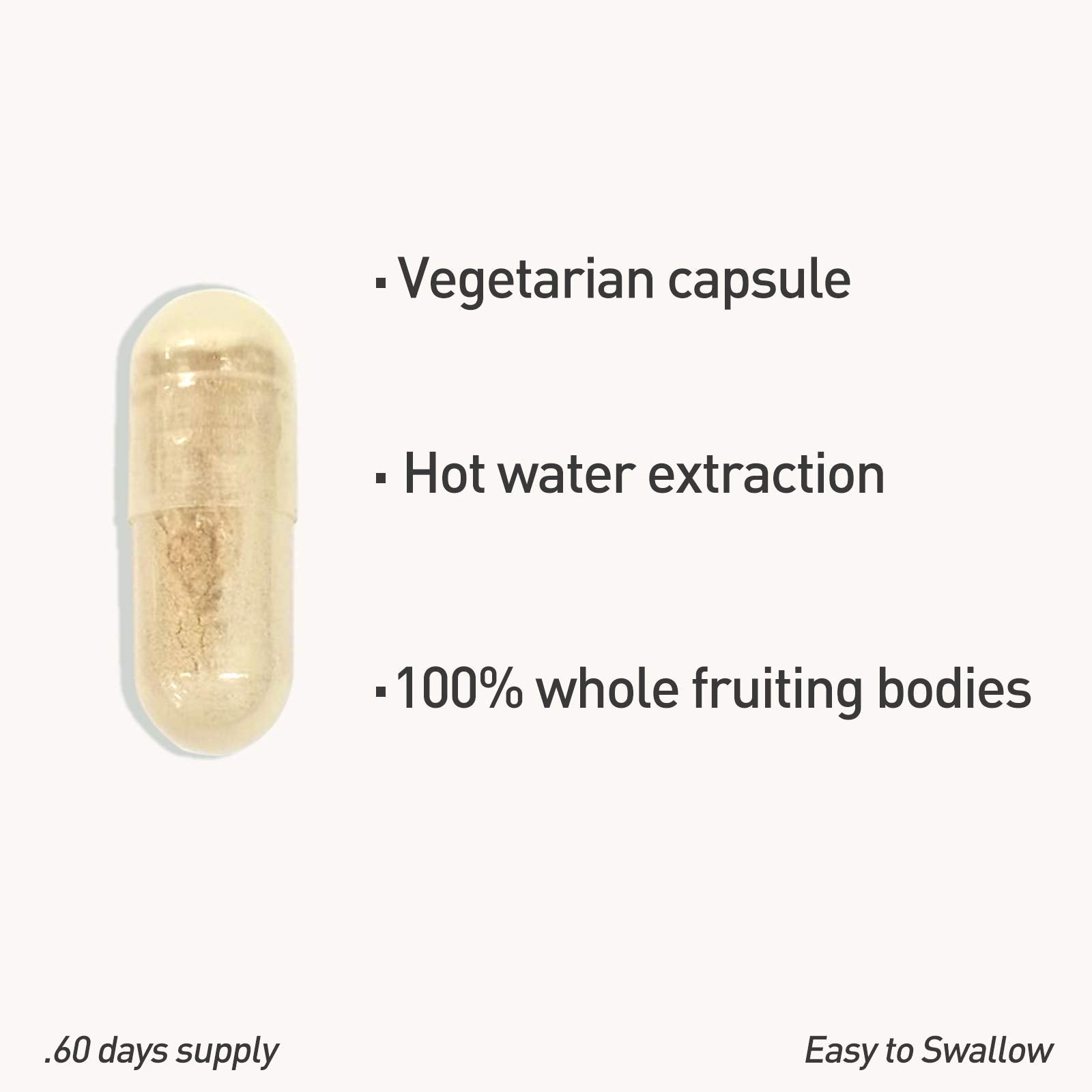 120 count Lions Mane mushroom capsules