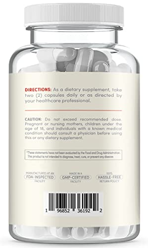 120 count Lions Mane mushroom capsules