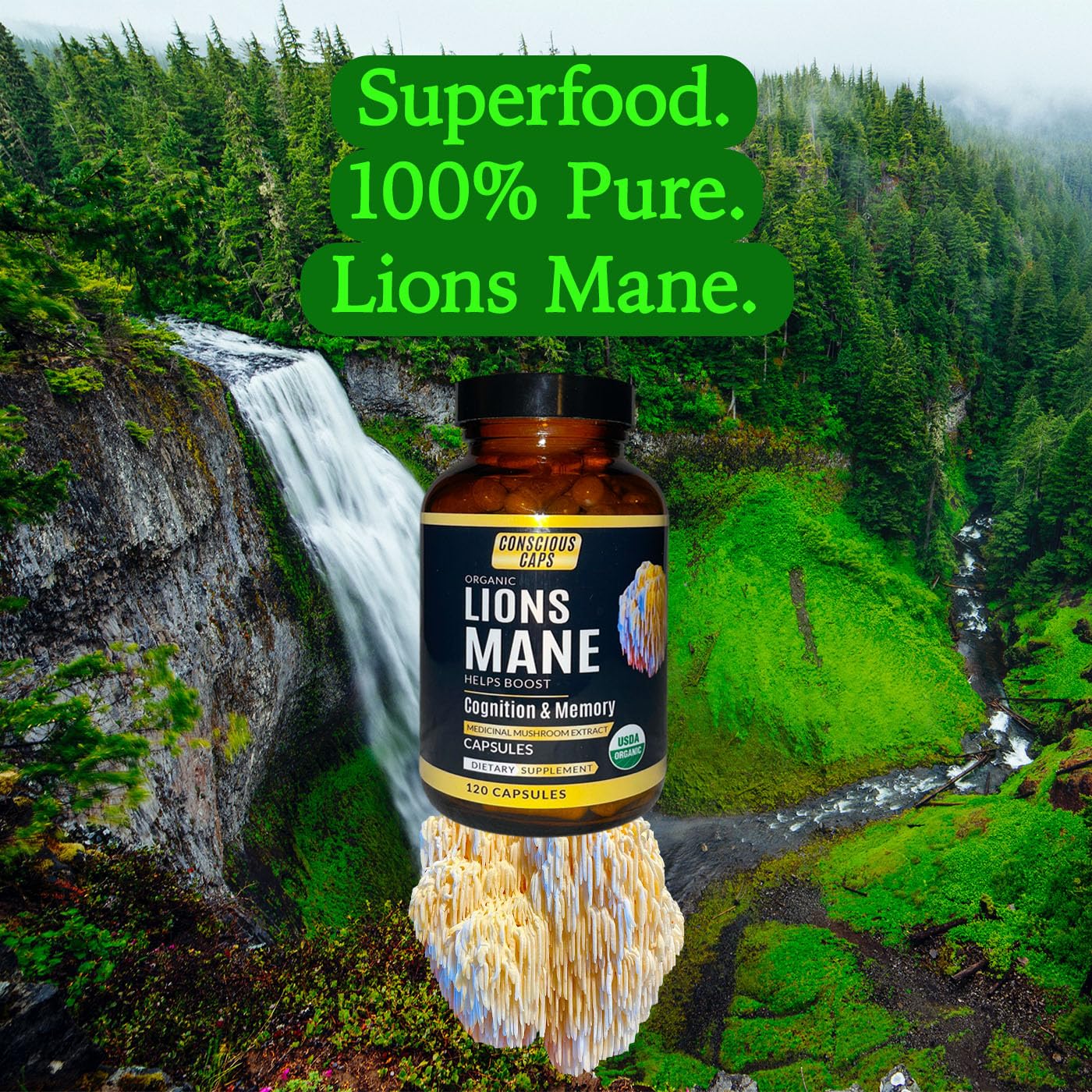 120 count mushroom supplement bottle