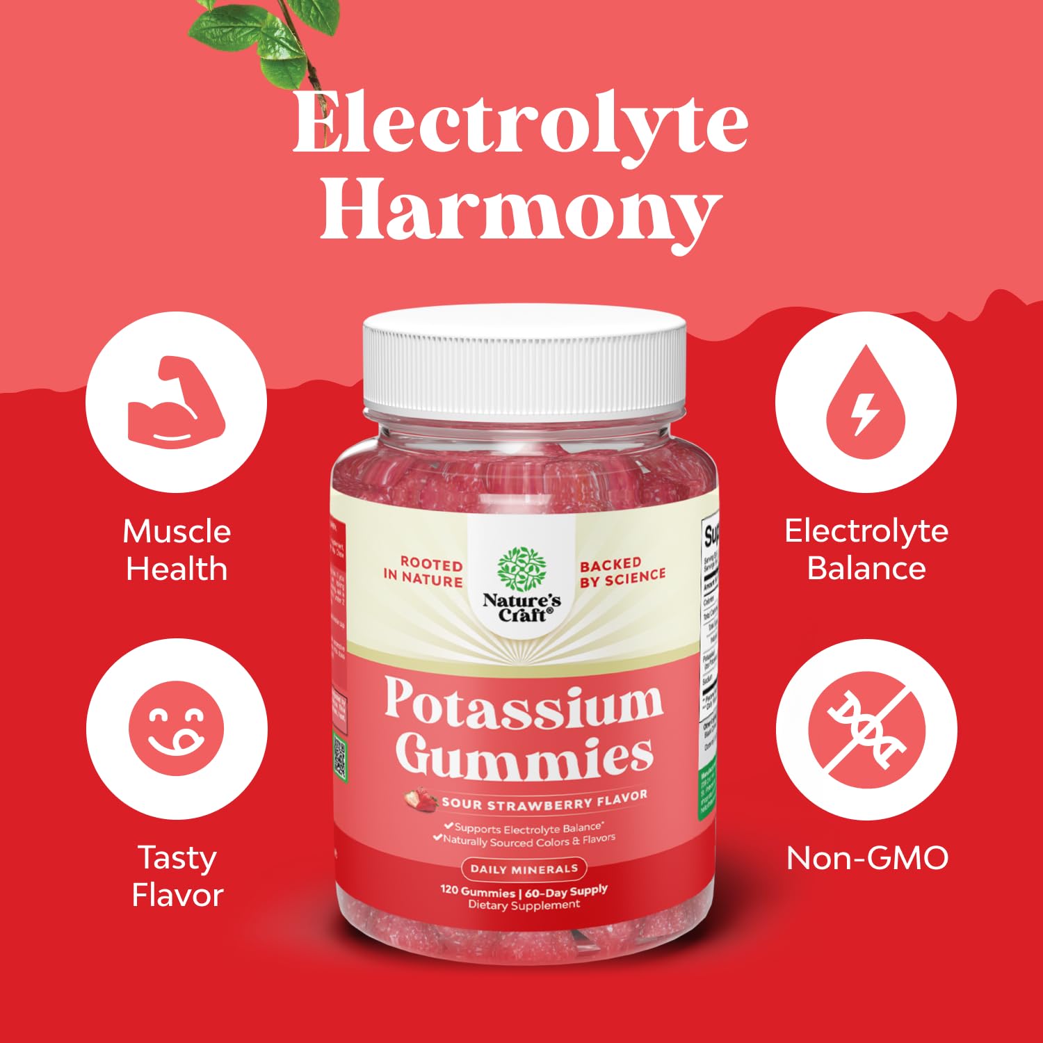 120 count potassium supplement gummies