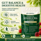 120 count probiotic digestive gummies