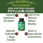 120 count psyllium husk supplement