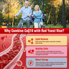 120 count red yeast rice gummies