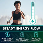 120 count sea moss capsules for energy
