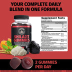 120 count Shilajit gummies for wellness