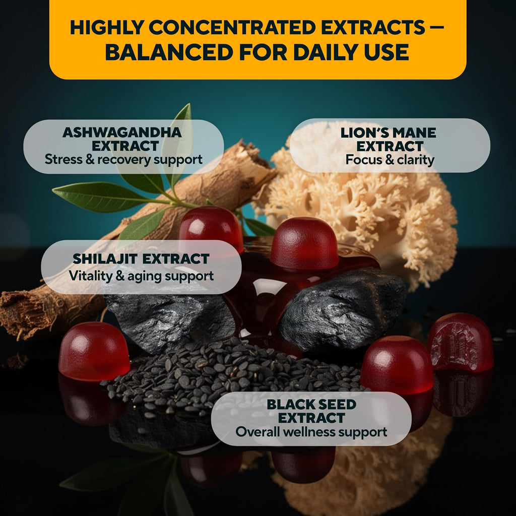 120 count shilajit gummy benefits