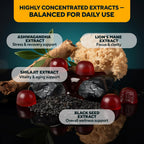 120 count shilajit gummy benefits