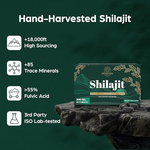 120 count shilajit tablets for convenience