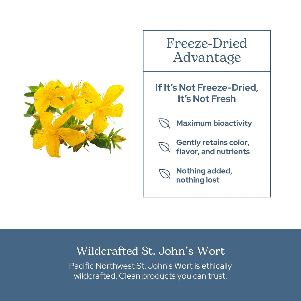 120 count St. John's Wort supplement
