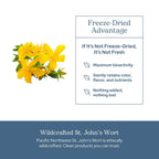 120 count St. John's Wort supplement