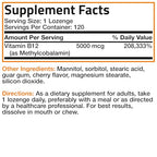 120 count vitamin B12 lozenges