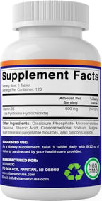 120 count Vitamin B6 for daily use