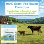 120 g colostrum powder for daily nutrition
