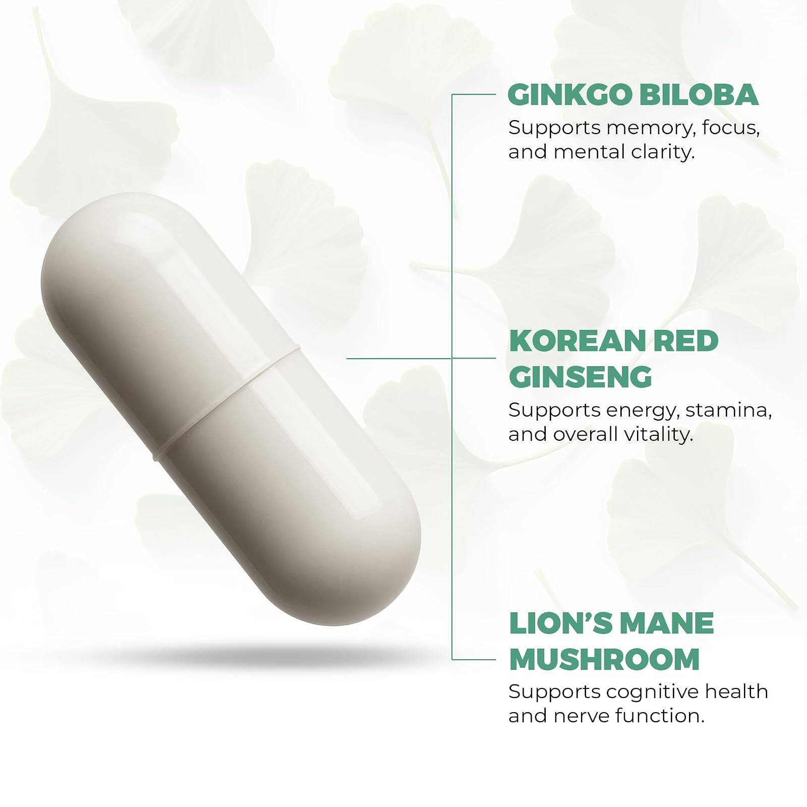 120 mg Ginkgo Biloba for memory
