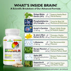 120 mg ginkgo biloba herbal supplement