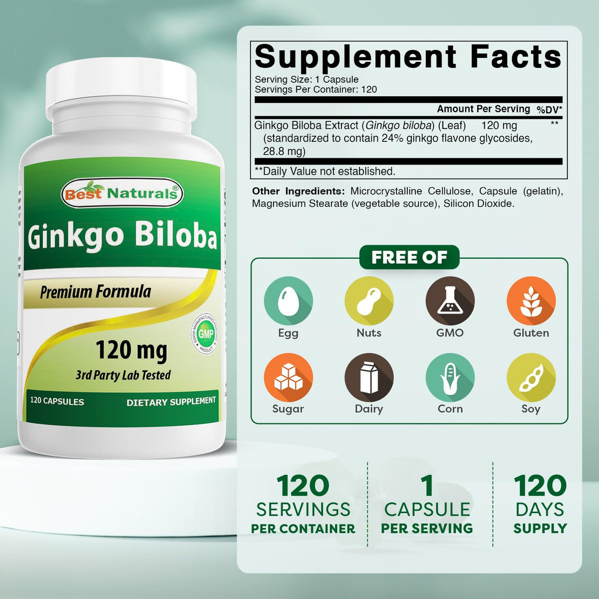 120 mg ginkgo biloba supplement