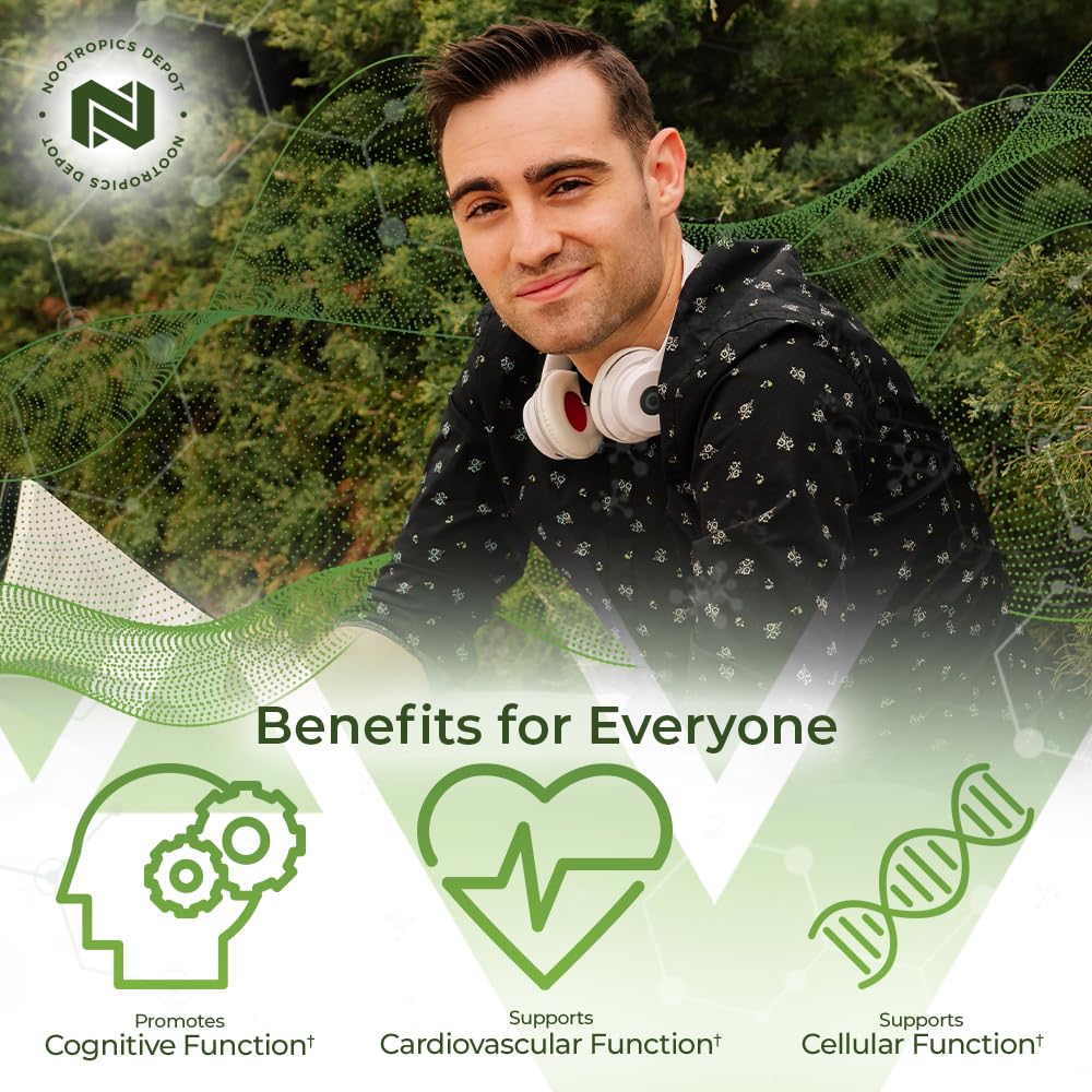 120 mg ginkgo biloba tablets for memory