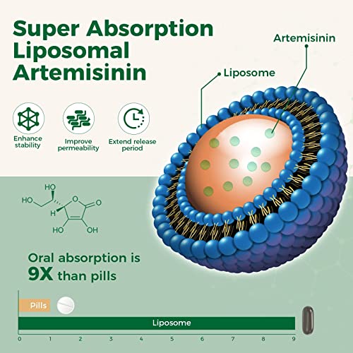 120 softgels for long-lasting supply