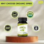 120 tablets of amla for daily wellness