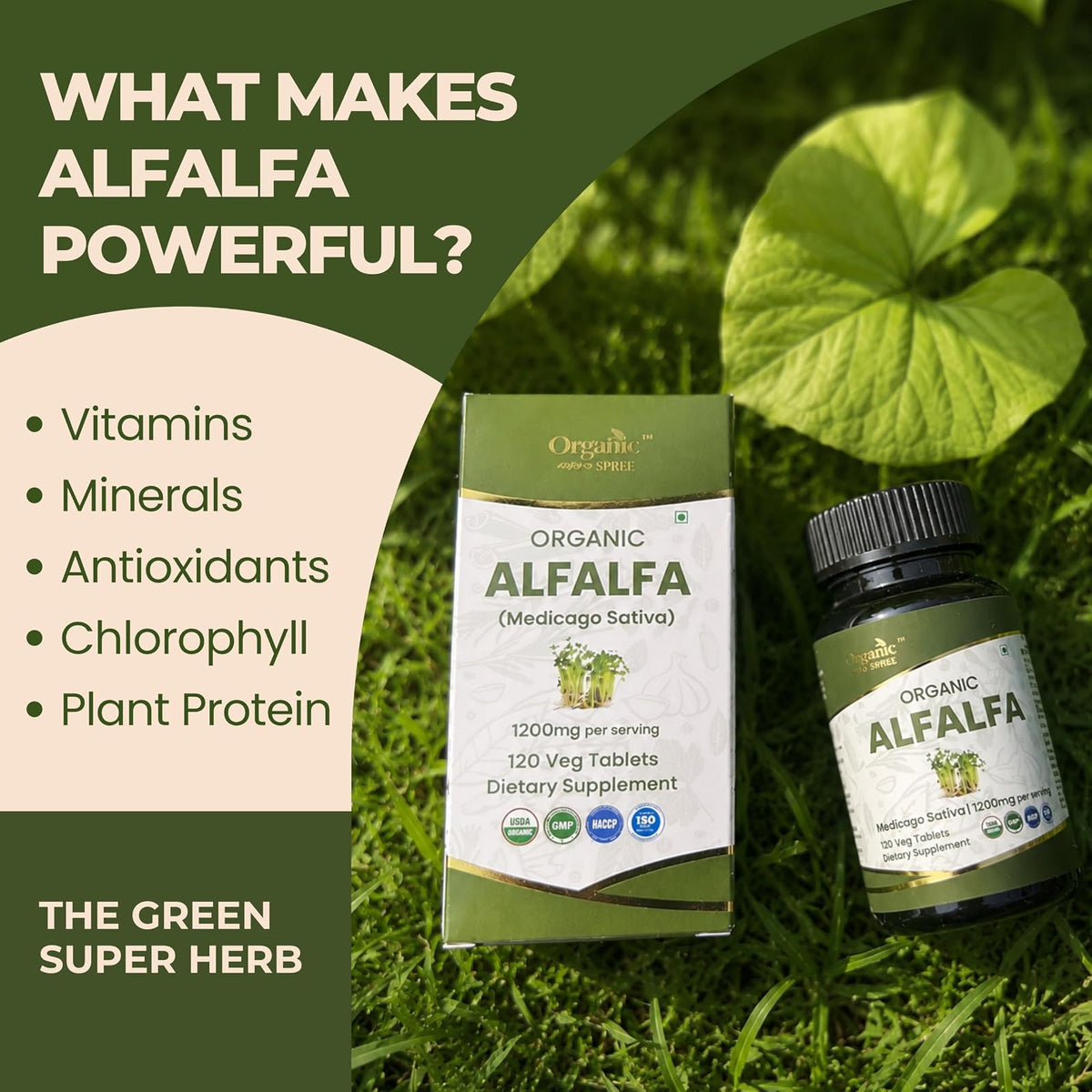 120 tablets of organic alfalfa