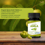 120 tablets of organic amla