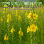 120 teabags of mullein leaf goodness