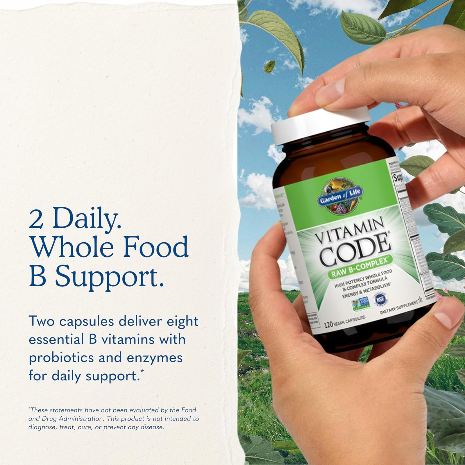 120 vegan capsules of vitamin b