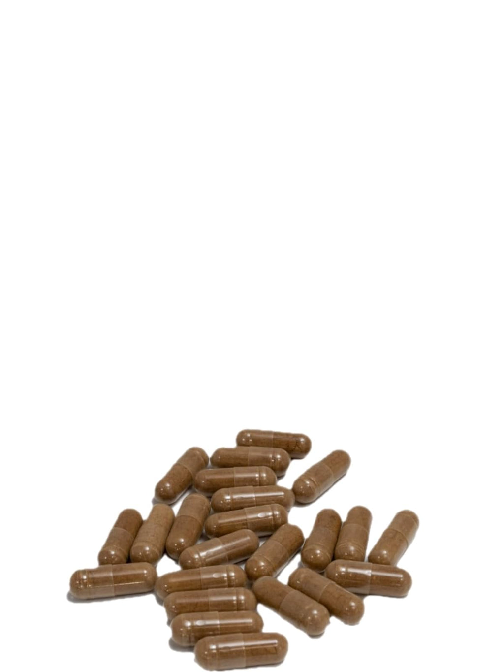 120 vegetarian chaga capsules for health