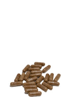 120 vegetarian chaga capsules for health