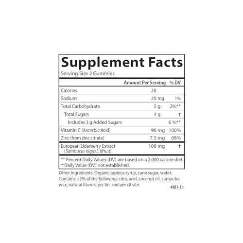 120 vegetarian elderberry gummies for daily health