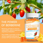 1200 mg berberine gummy benefits