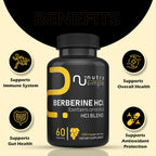 1200 mg berberine HCl dosage guide