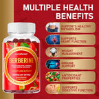 1200 mg berberine supplement benefits
