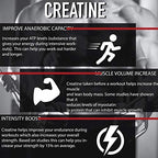 1200 mg creatine monohydrate benefits