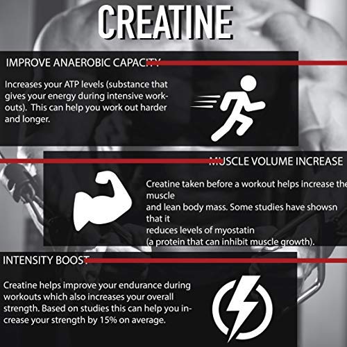 1200 mg creatine monohydrate benefits