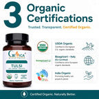 1200 mg holy basil supplement