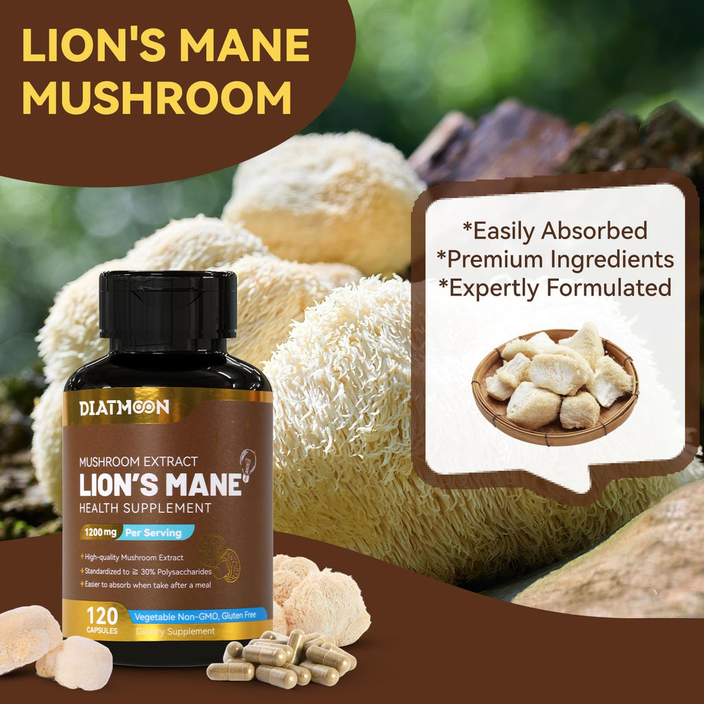 1200 mg lion's mane for focus