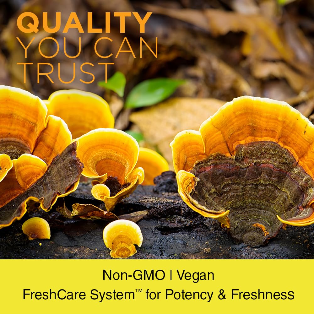 1200 mg Reishi mushroom dosage advantages
