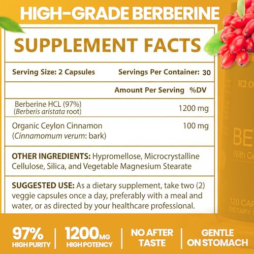 1200mg berberine for optimal health