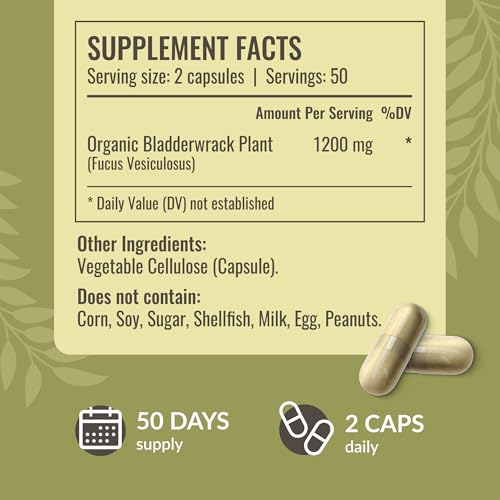 1200mg bladderwrack capsules for wellness