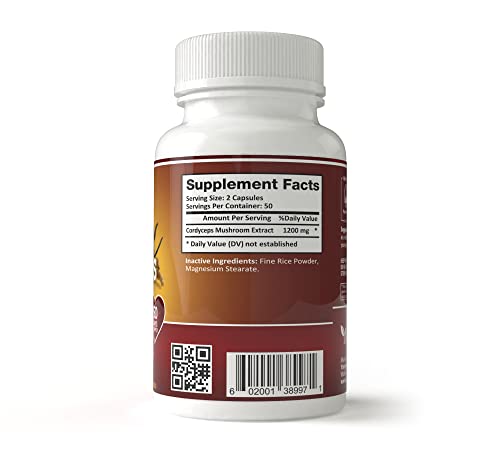 1200mg cordyceps for energy support