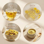 120g pack of chrysanthemum tea