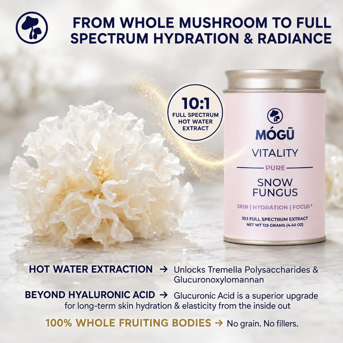 125g snow fungus for wellness