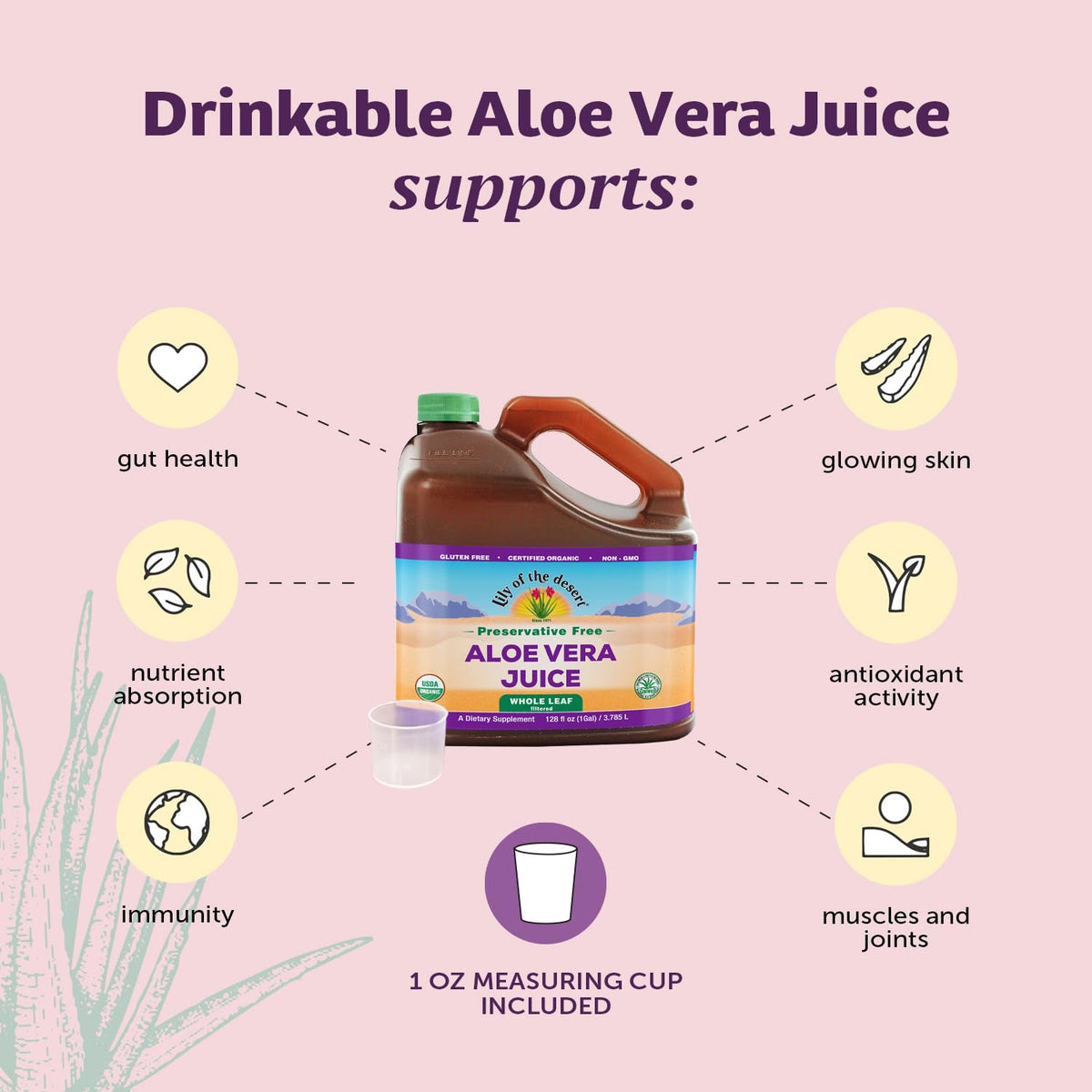 128 fl oz aloe vera drink