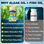 1280 mg algae omega for brain support