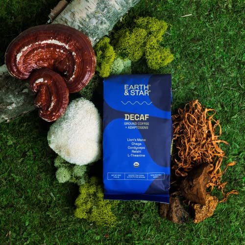 12oz mushroom coffee package
