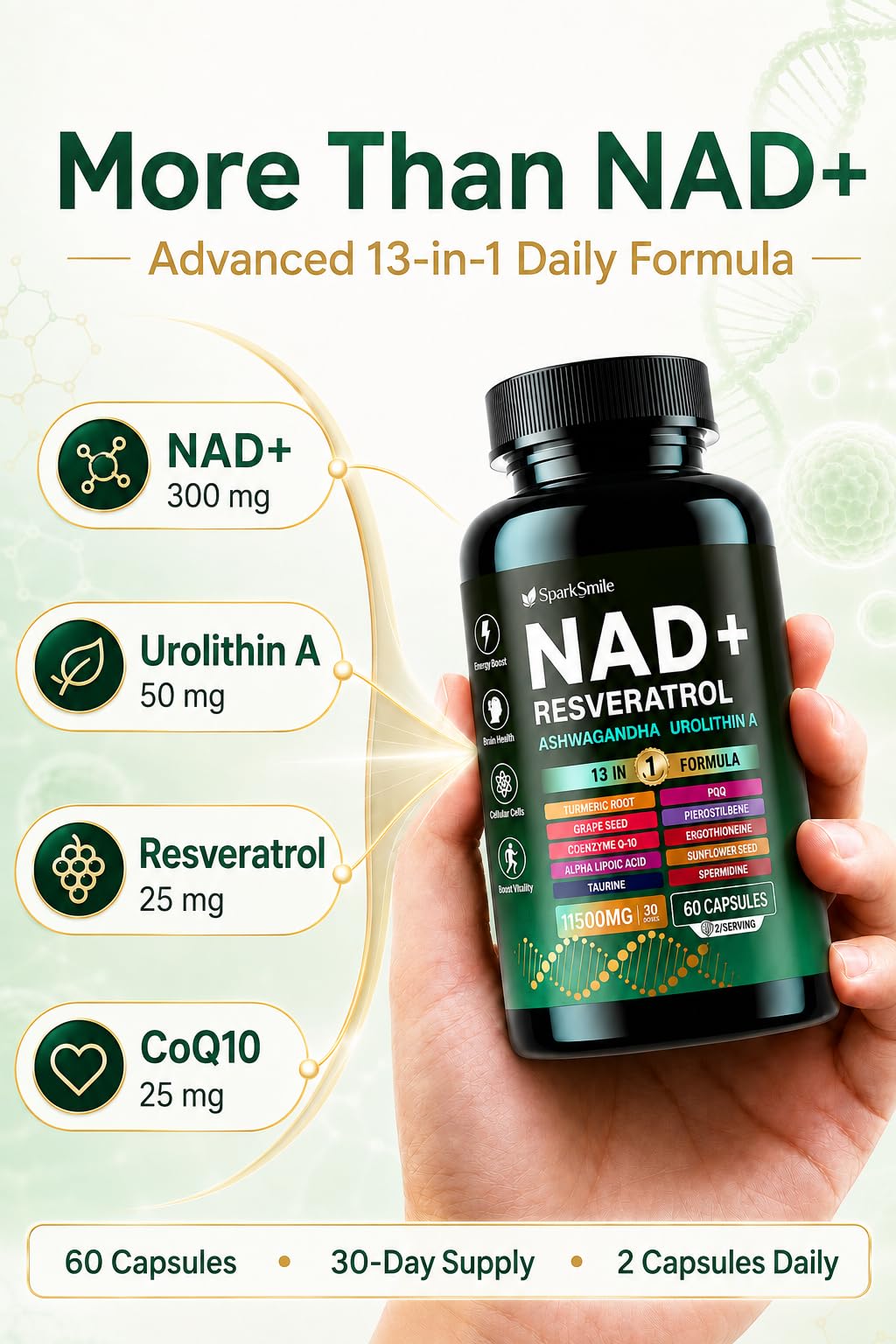 13-in-1 complex for wellness